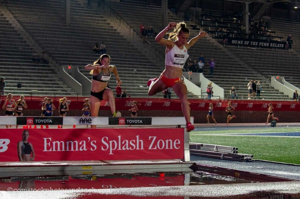 Napoleon repeats as national steeplechase champion - Salamanca Free Press