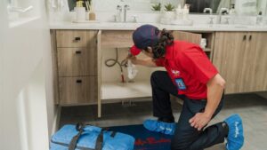 How to avoid 'Brown Friday' and other plumbing disasters - Salamanca ...