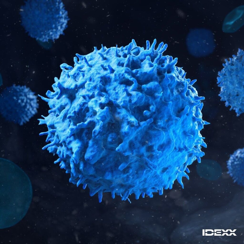 IDEXX Announces Groundbreaking Cancer Dx Panel with Affordable Early ...