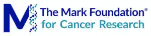 ELA The Mark Foundation for Cancer Research Announces 2025 Emerging ...