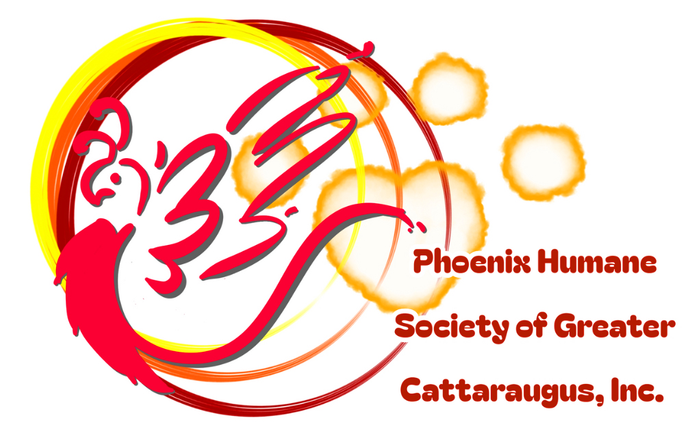 Phoenix Humane Society receives $75K grant for shelter expansion ...