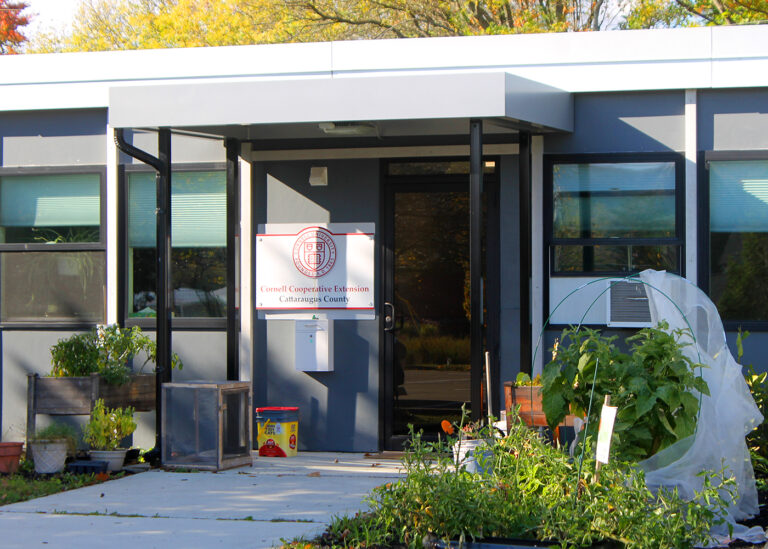 Cornell Cooperative Extension announces upcoming workshops - Salamanca ...